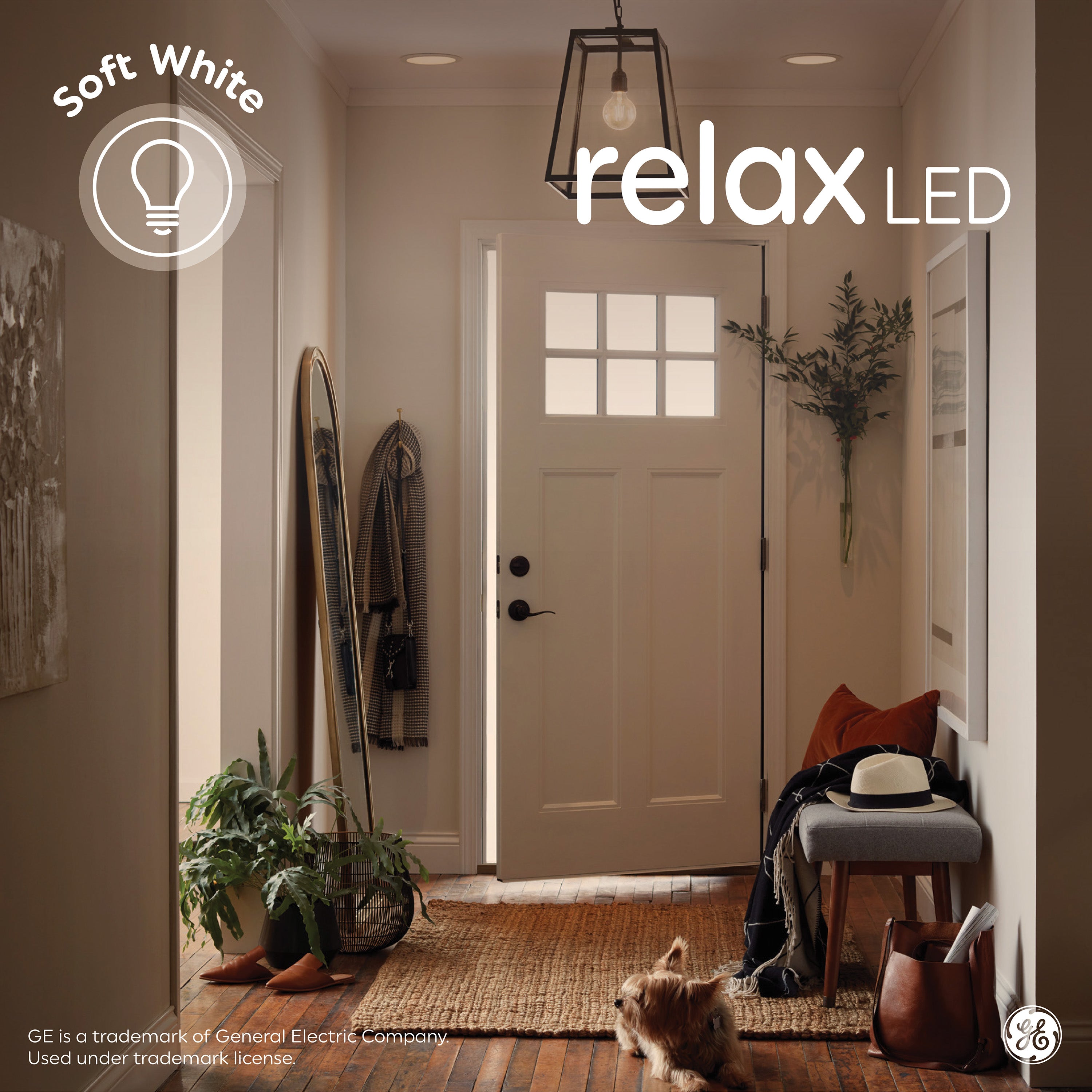 GE Relax HD LED Soft White 60 Watt Replacement Globe Light Bulbs
