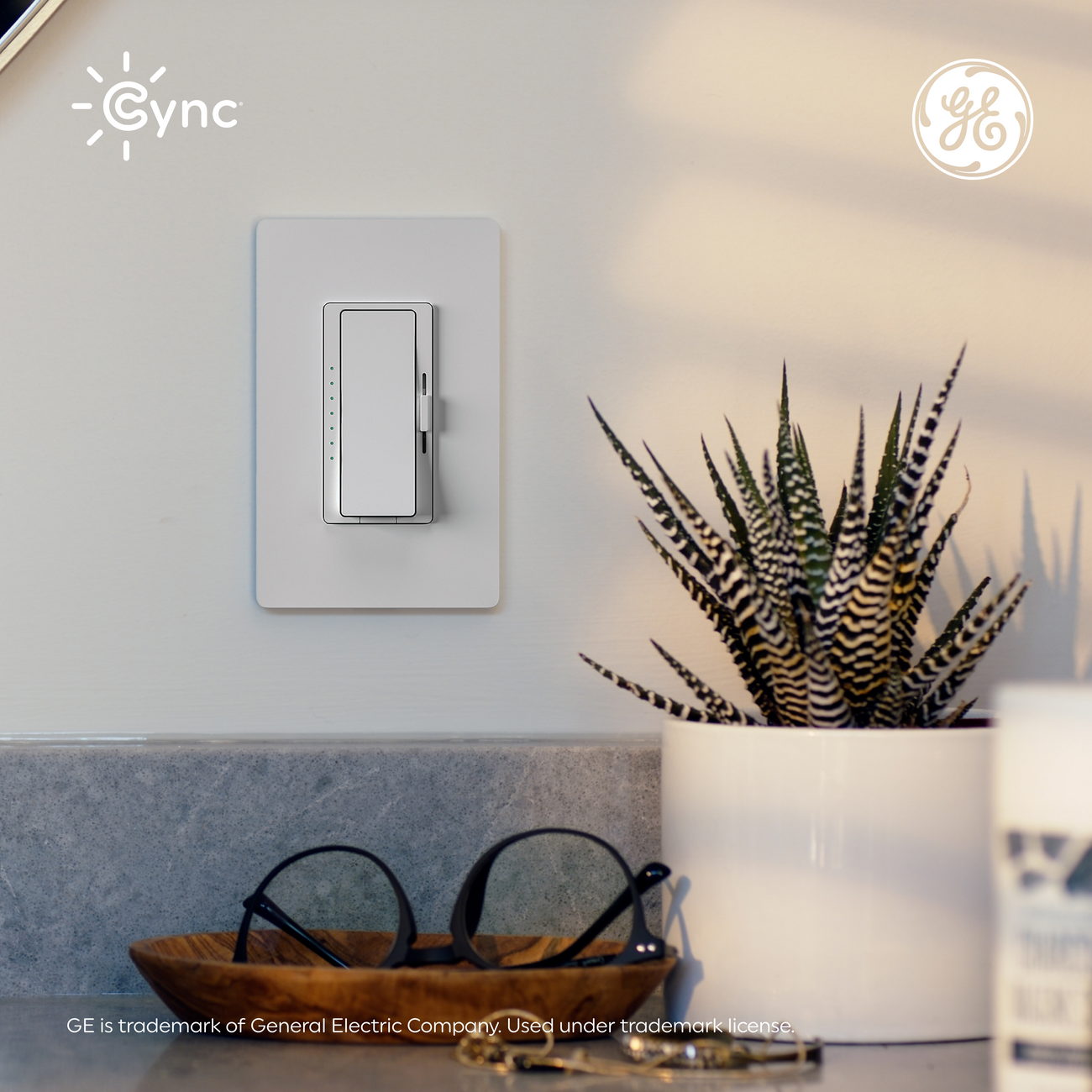 Smart Light Switches | GE Lighting Store